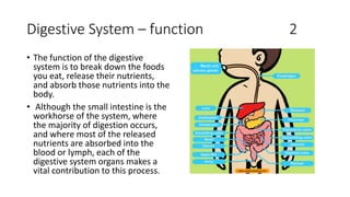 Basic ap chapter 23 powerpoint 2017 | PPT