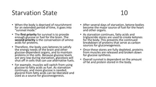 Basic ap chapter 24 powerpoint 2017 | PPT