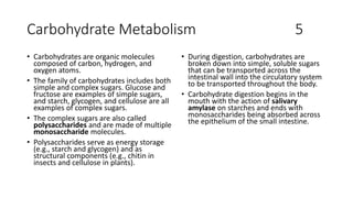 Basic ap chapter 24 powerpoint 2017 | PPTX
