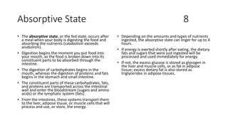 Basic ap chapter 24 powerpoint 2017 | PPT