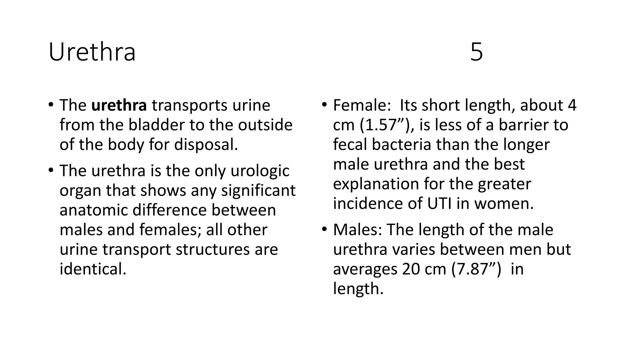 Basic ap chapter 25 powerpoint 2017 | PPT