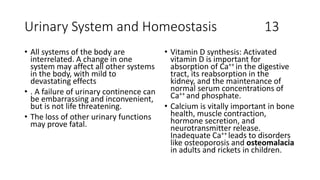 Basic ap chapter 25 powerpoint 2017 | PPT