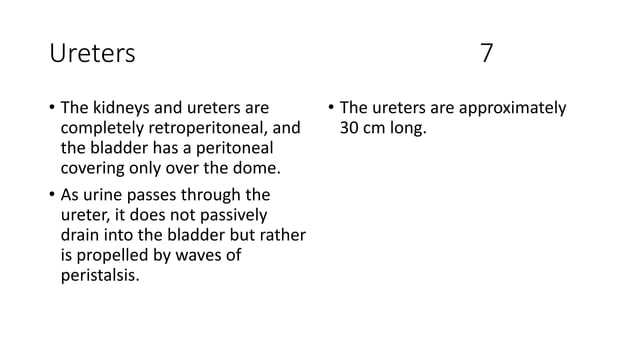 Basic ap chapter 25 powerpoint 2017 | PPT