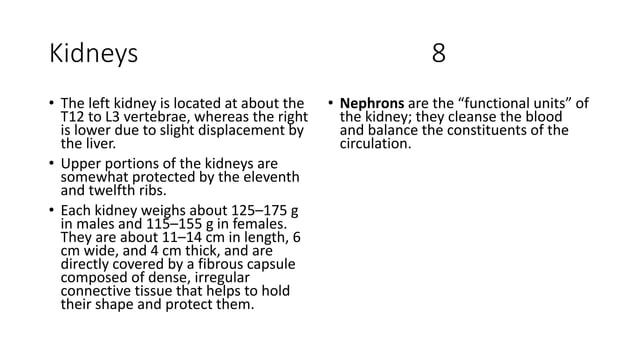 Basic ap chapter 25 powerpoint 2017 | PPT
