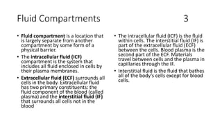 Basic ap chapter 26 powerpoint 2017 | PPT