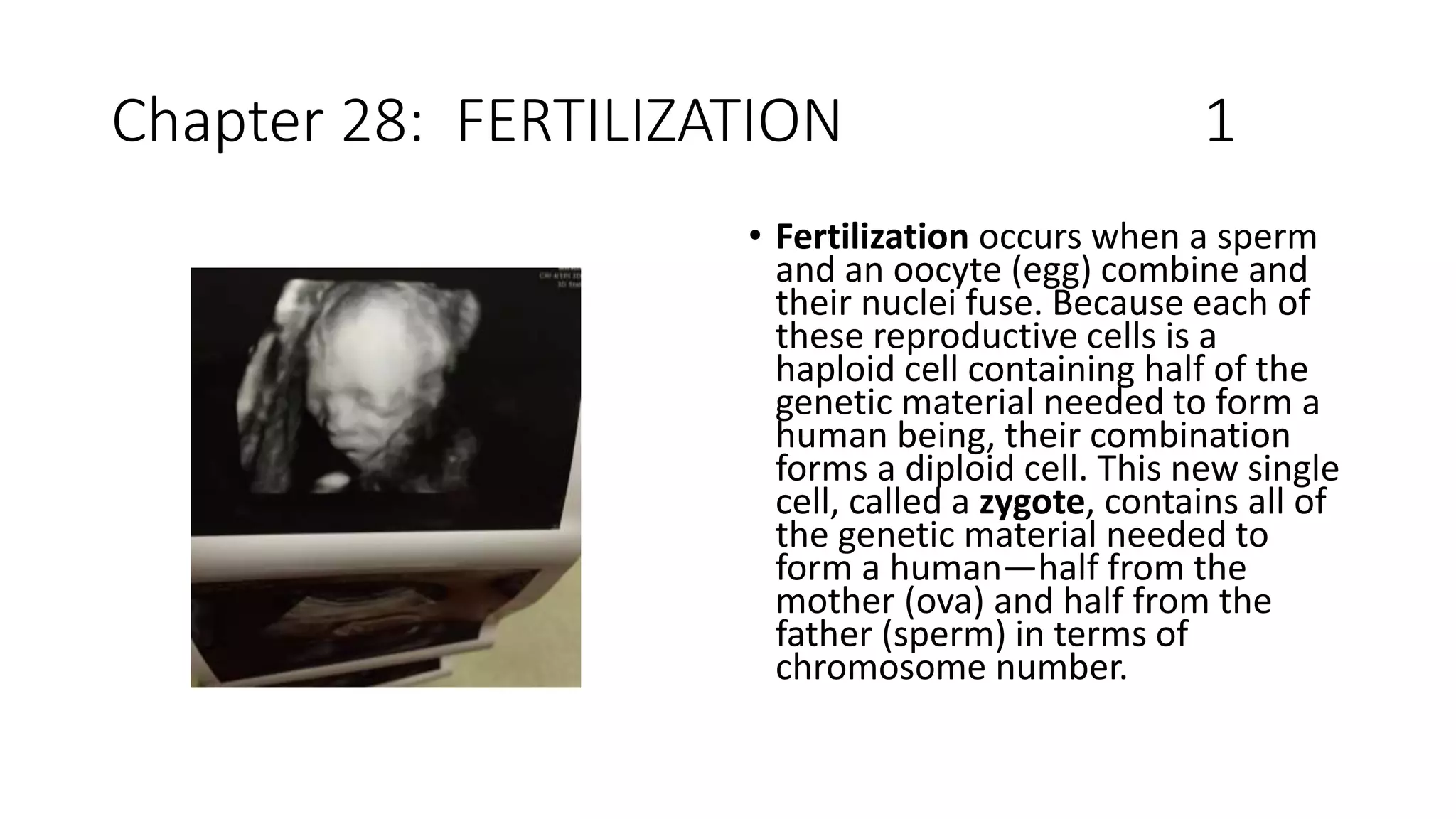 Basic ap chapter 28 powerpoint 2017 | PPT