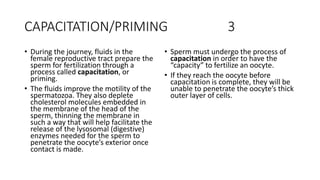 Basic ap chapter 28 powerpoint 2017 | PPT
