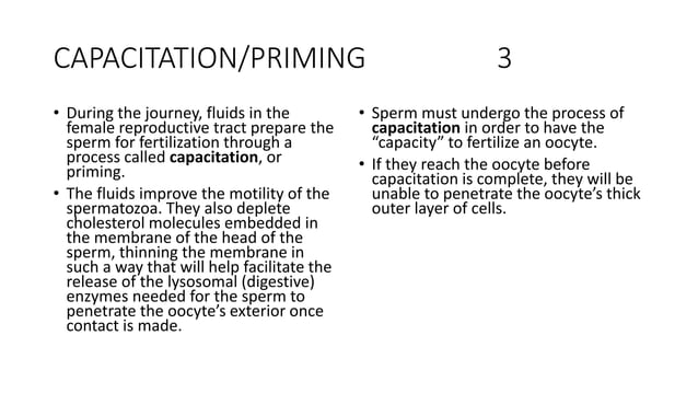 Basic ap chapter 28 powerpoint 2017 | PPT