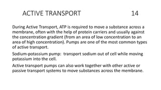 Basic ap chapter 3 powerpoint 2017 | PPTX | Biological Sciences | Science
