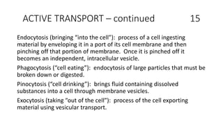 Basic ap chapter 3 powerpoint 2017 | PPTX | Biological Sciences | Science