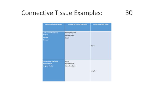 Basic ap chapter 4 powerpoint 2017 | PPT