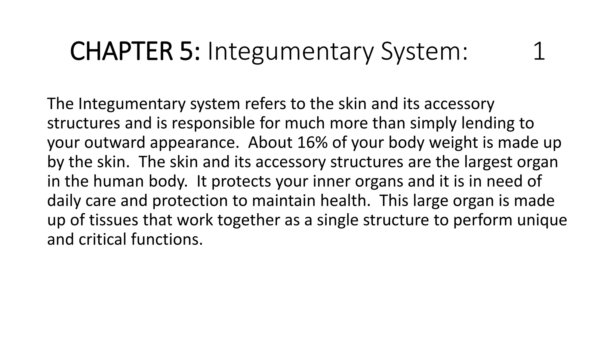 Basic ap chapter 5 powerpoint 2017 | PPTX