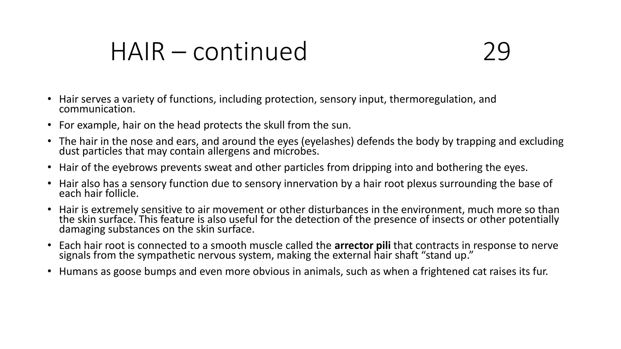 Basic ap chapter 5 powerpoint 2017 | PPTX