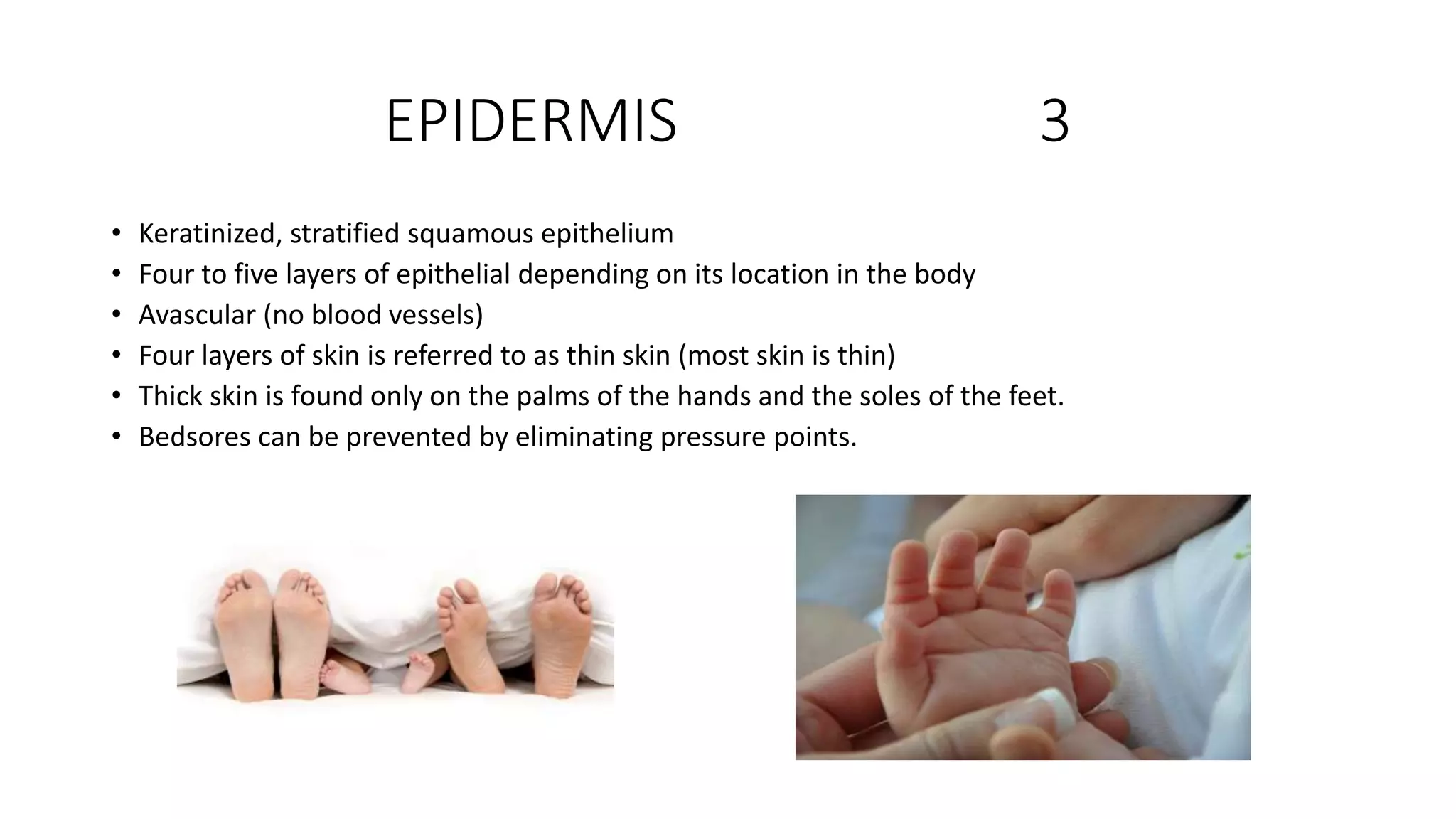 Basic ap chapter 5 powerpoint 2017 | PPTX