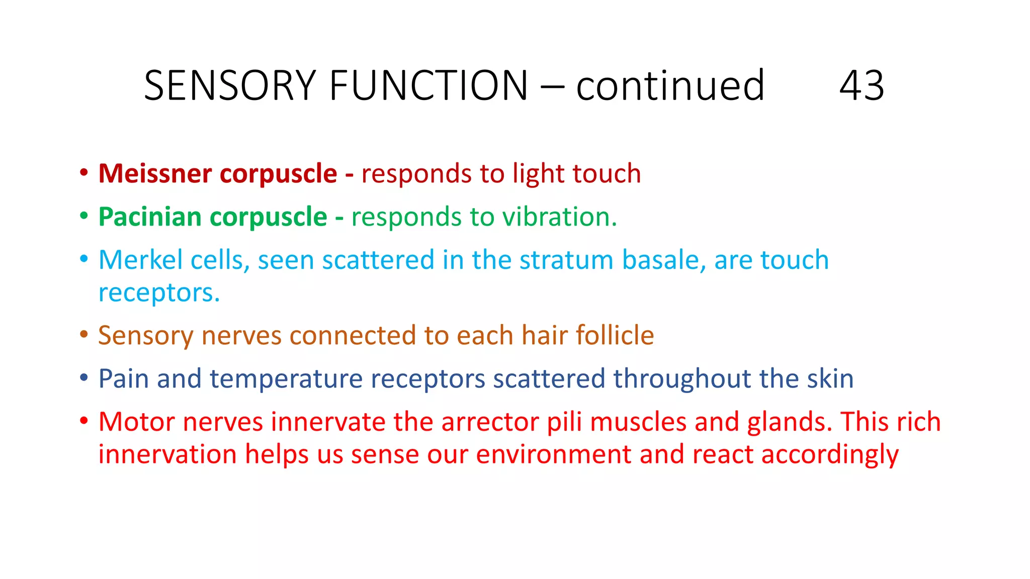 Basic ap chapter 5 powerpoint 2017 | PPT | Free Download
