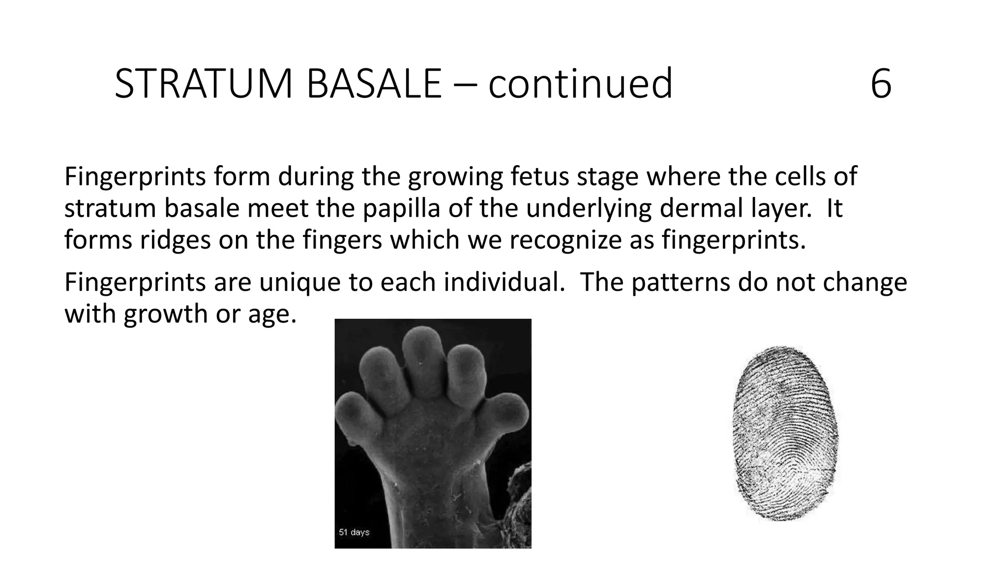 Basic ap chapter 5 powerpoint 2017 | PPTX