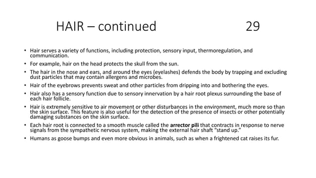 Basic ap chapter 5 powerpoint 2017 | PPT