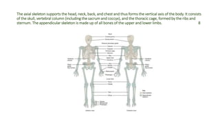 Basic ap chapter 7 powerpoint 2017 | PPTX