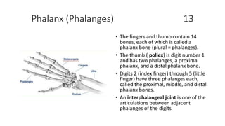 Basic ap chapter 8 powerpoint 2017 | PPTX | Death, Injury, or Military Conflict | Sensitive Topics