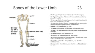 Basic ap chapter 8 powerpoint 2017 | PPTX | Death, Injury, or Military ...