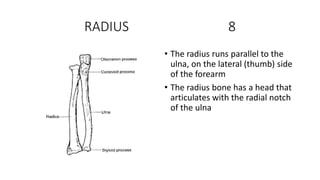 Basic ap chapter 8 powerpoint 2017 | PPTX | Death, Injury, or Military Conflict | Sensitive Topics