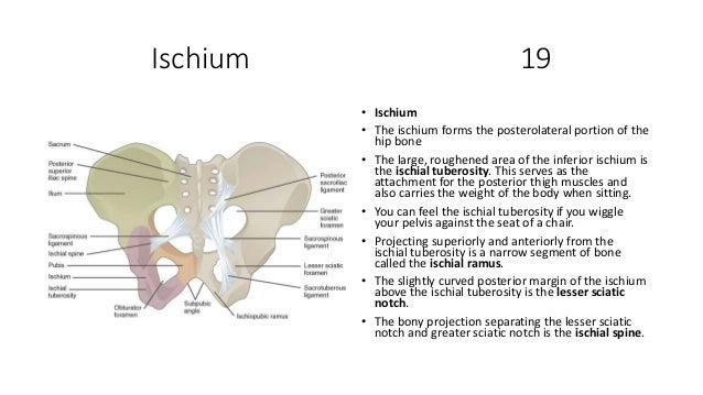 Basic ap chapter 8 powerpoint 2017