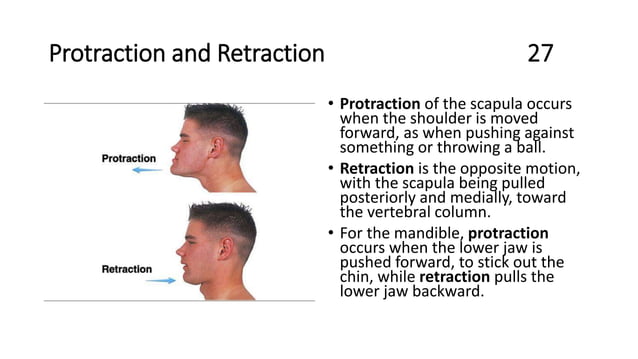 Basic ap chapter 9 powerpoint 2017 | PPTX