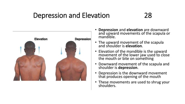 Basic ap chapter 9 powerpoint 2017 | PPTX