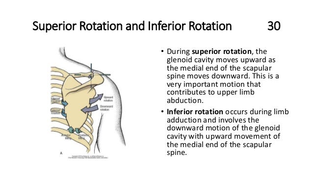 Basic ap chapter 9 powerpoint 2017