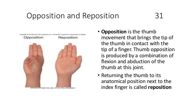 Basic ap chapter 9 powerpoint 2017