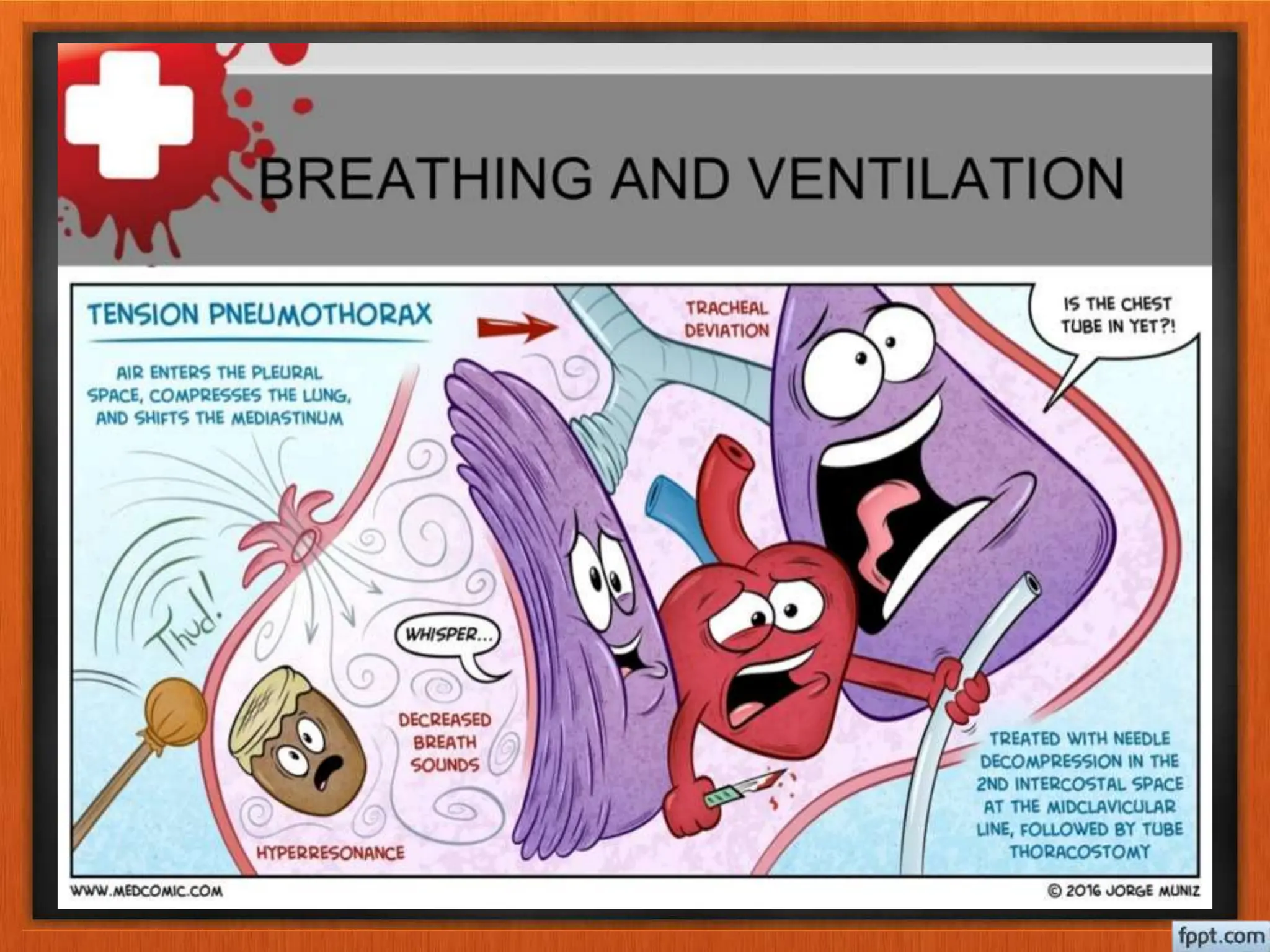 BASIC ATLS principle, management and therapy.pptx