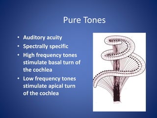 Pure Tone Audiometry | PPTX