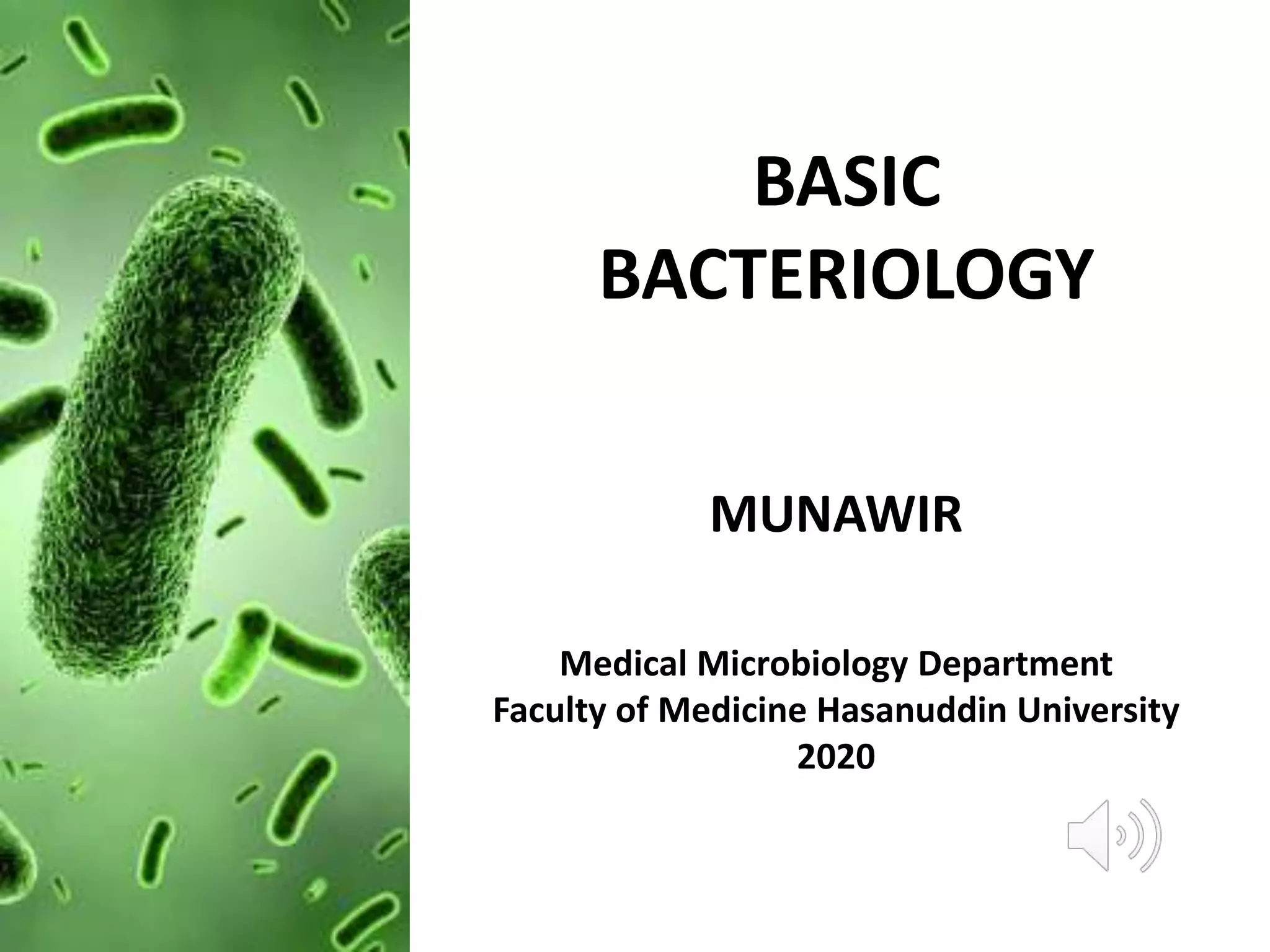 Basic bacteriology | PPTX