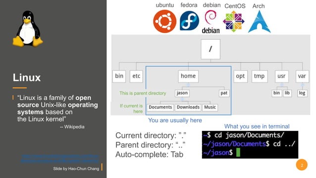 Basic linux bash | PPTX | Operating Systems | Computer Software and Applications