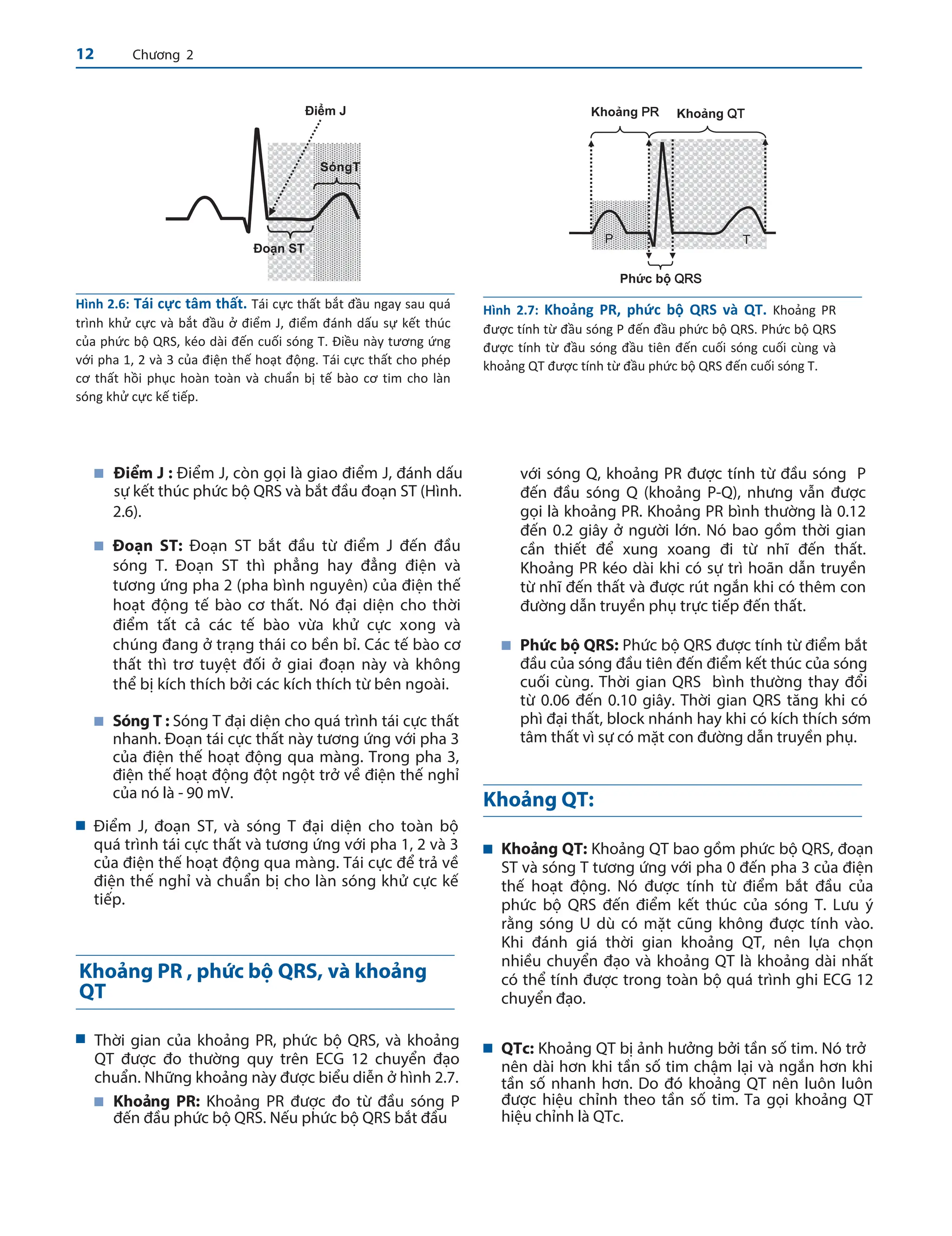 Basic Bedside Electrocardiography (Tiếng Việt).pdf