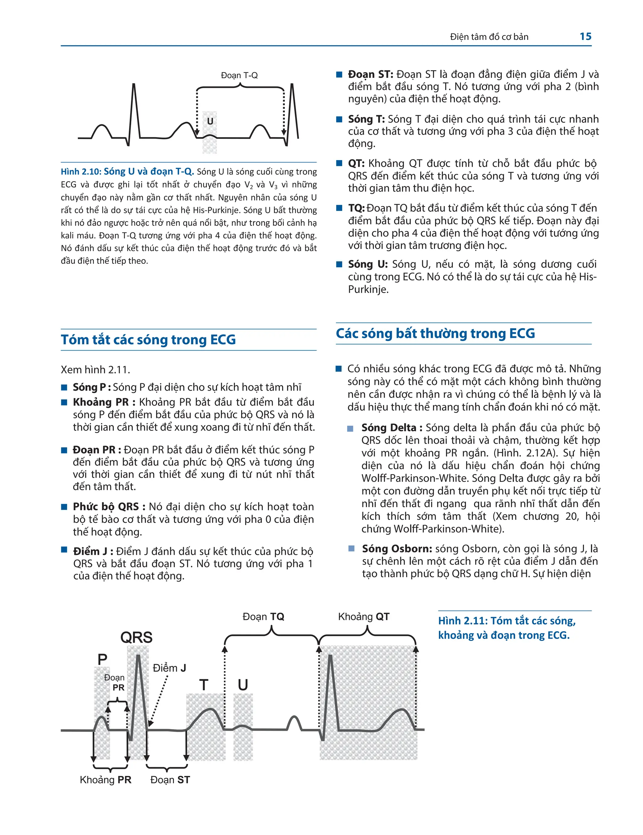 Basic Bedside Electrocardiography (Tiếng Việt).pdf