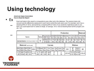 Basic beef genetics | PPT