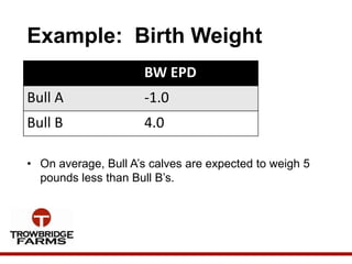 Basic beef genetics | PPT