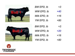 Basic beef genetics | PPT