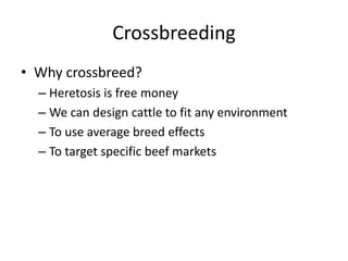 Basic beef genetics | PPT