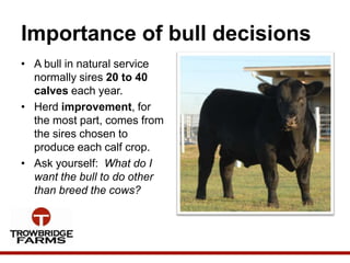 Basic beef genetics | PPT