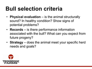 Basic beef genetics | PPT