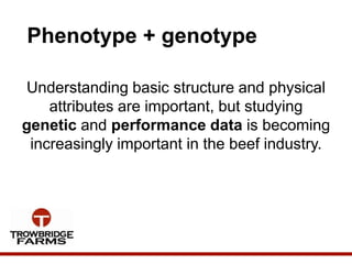Basic beef genetics | PPT