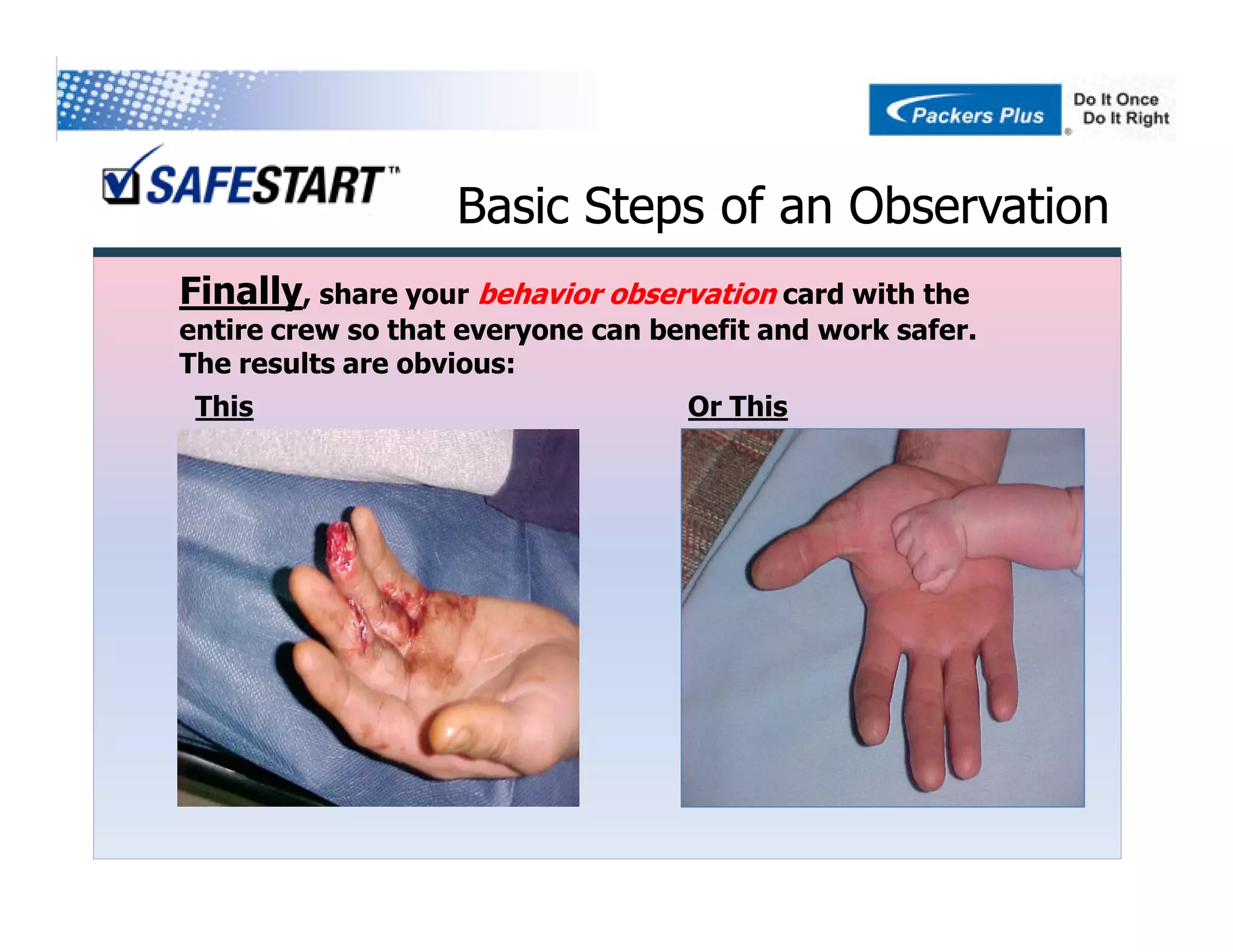 behavior based safety | PDF