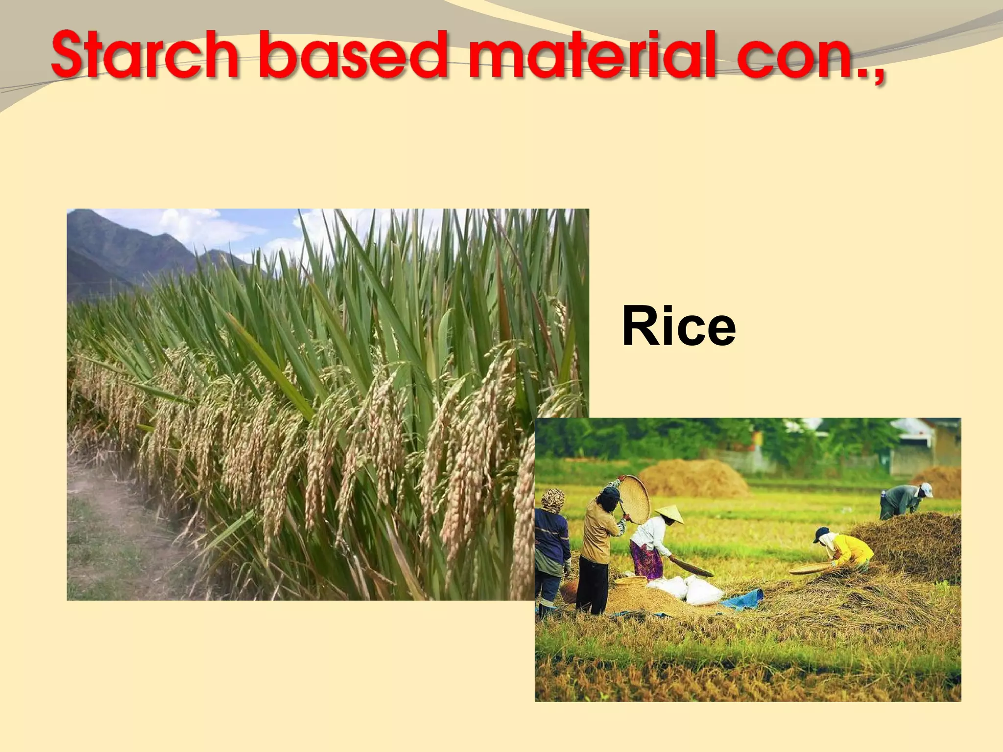 Basic beverage knowledge heru | PPT