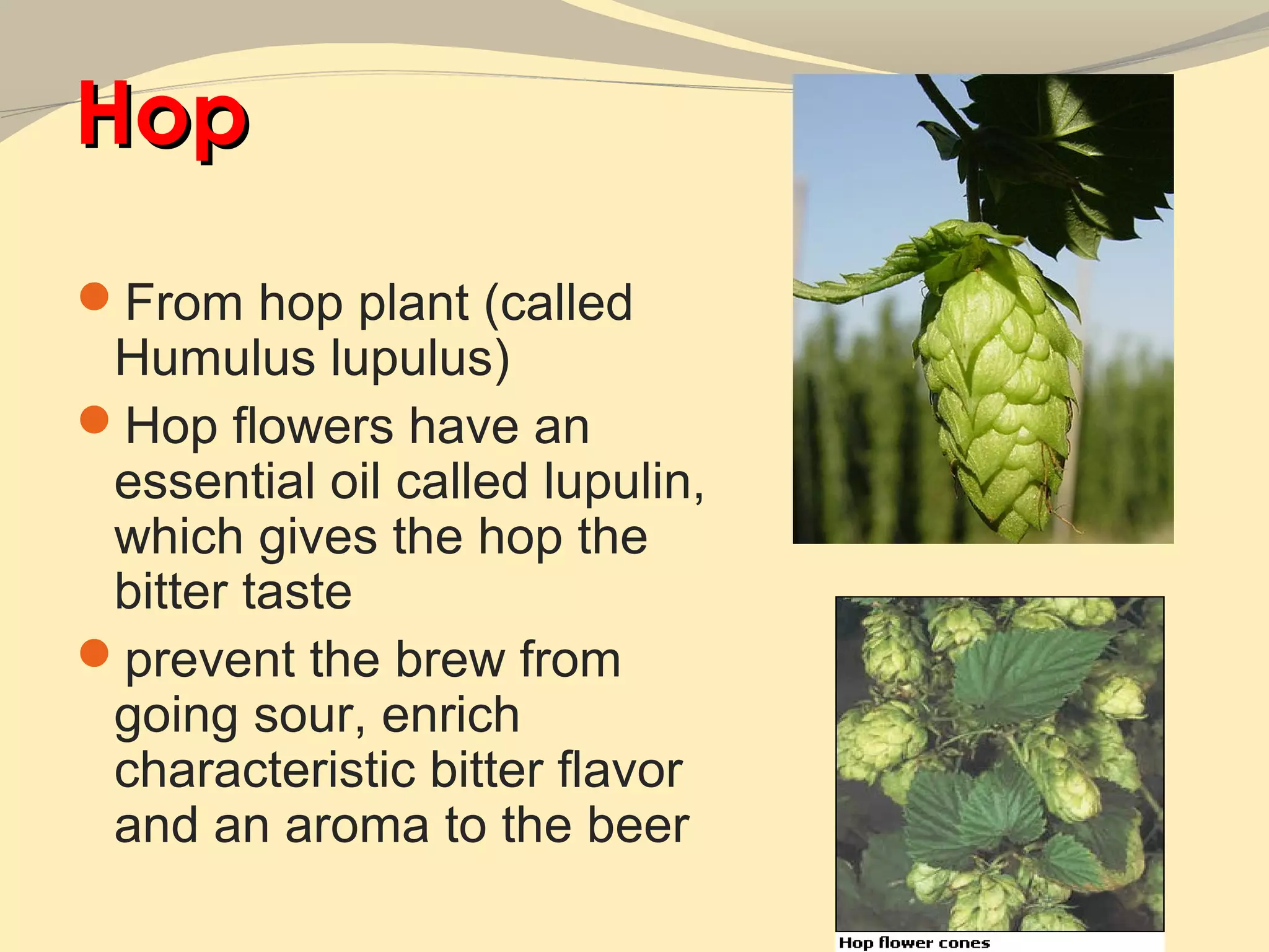 Basic beverage knowledge heru | PPT