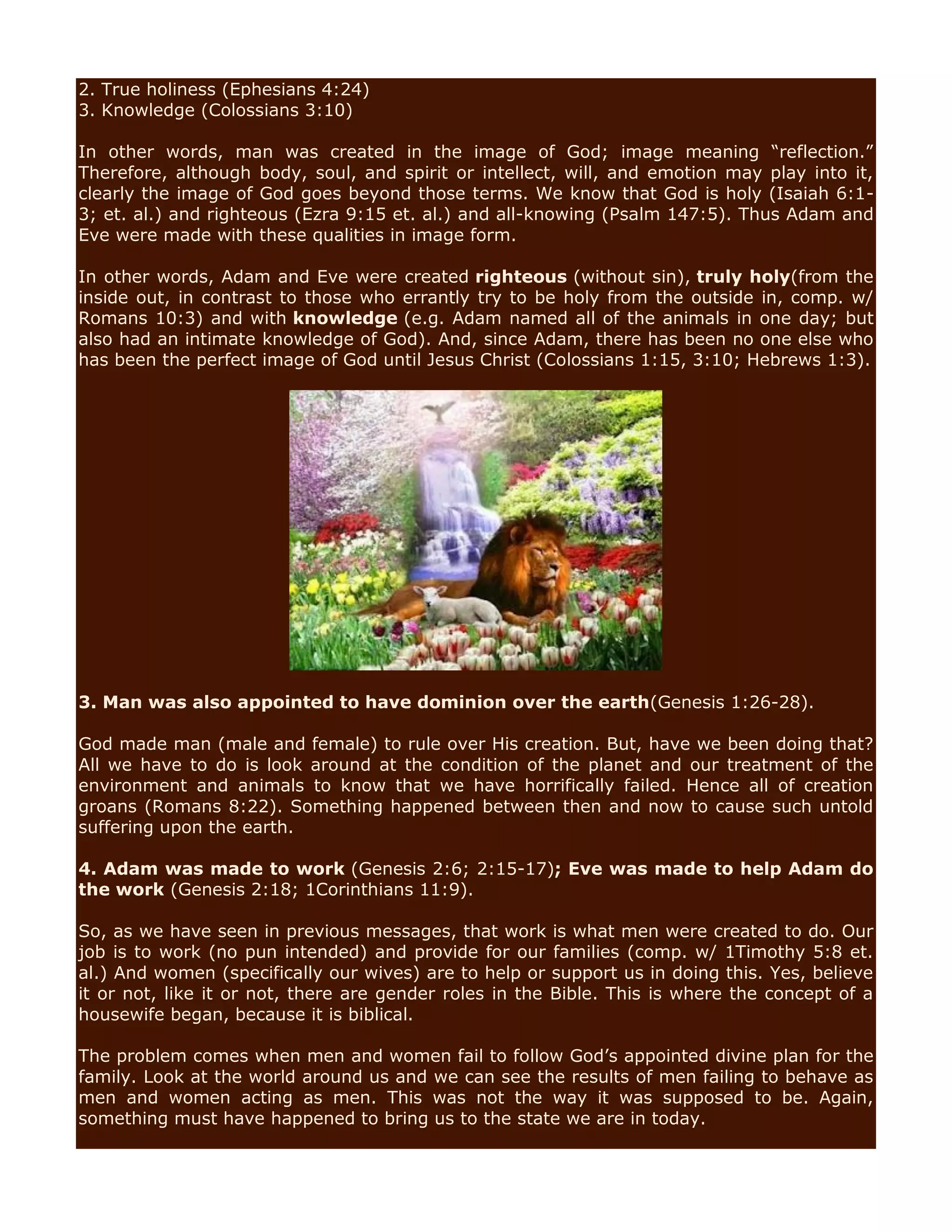 Basic Bible Stories Adam and Eve | PDF