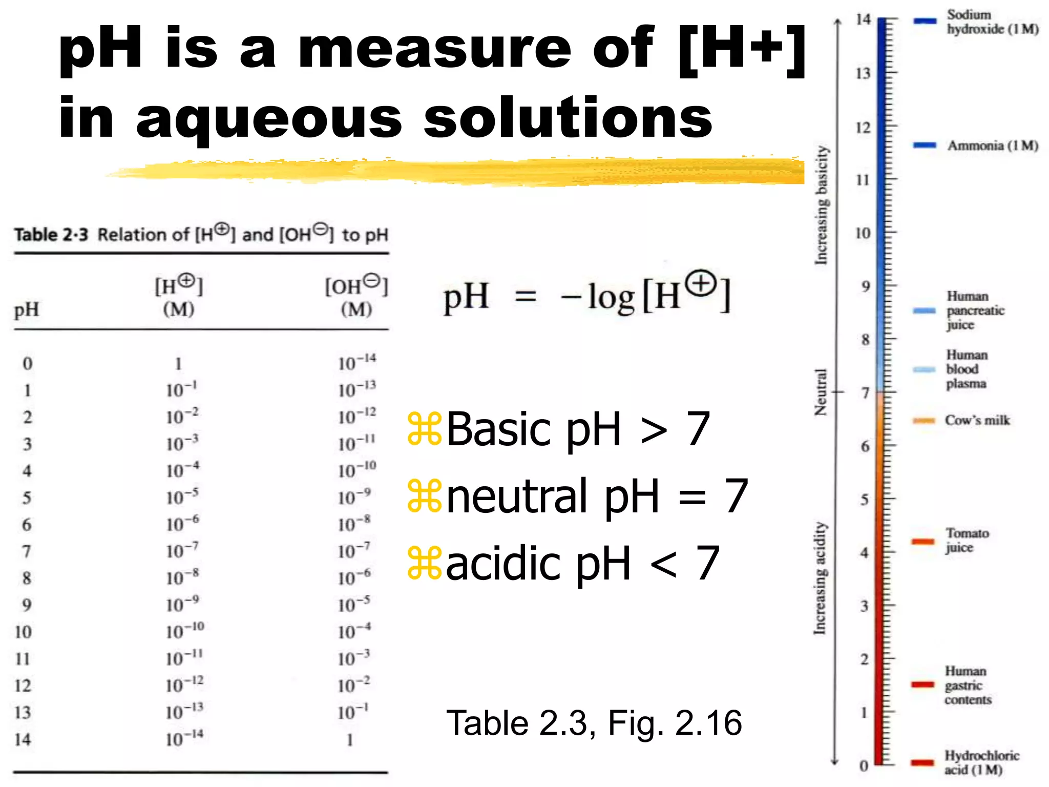 Basic biochemistry 301 | PPT