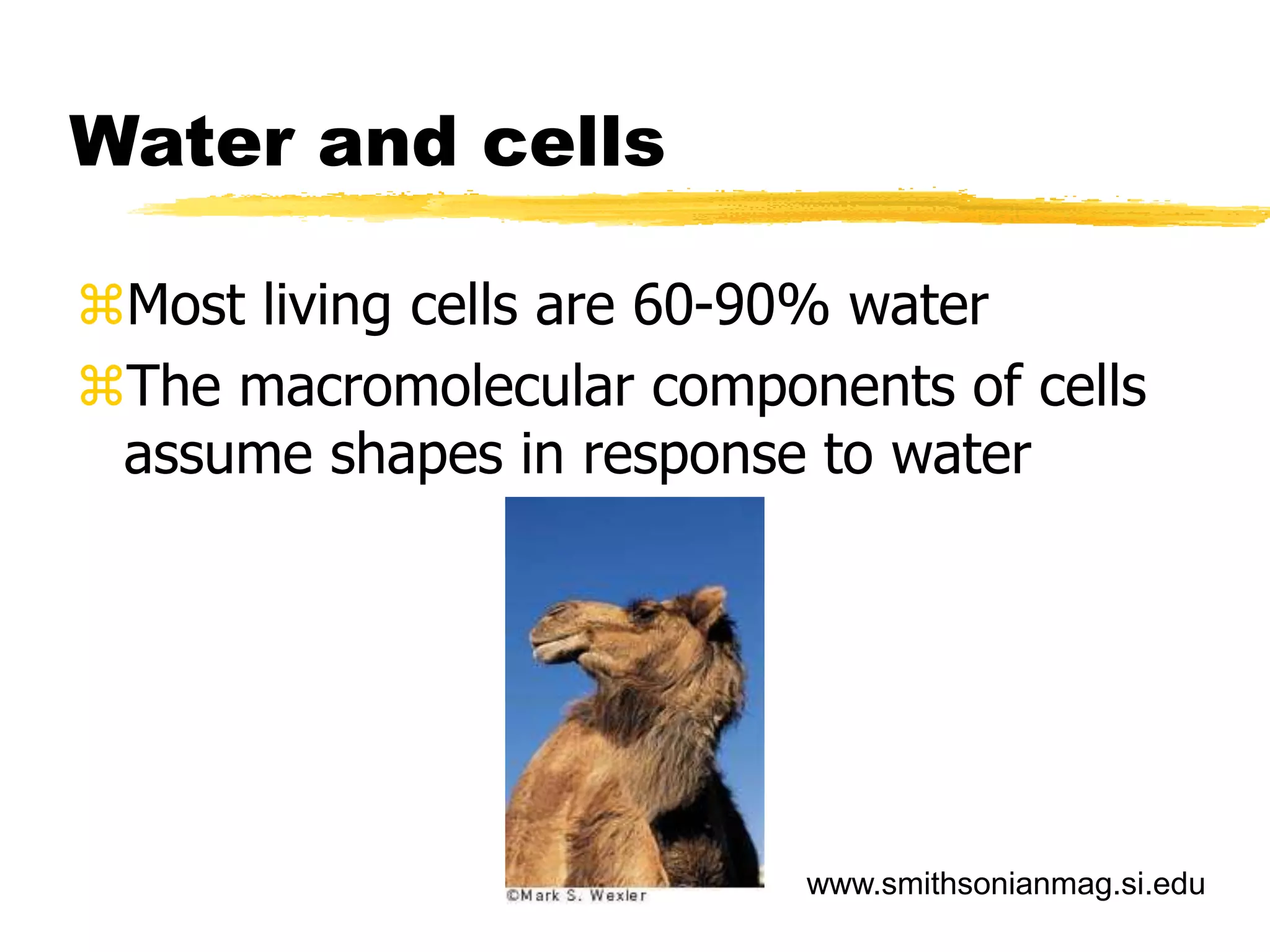 Basic biochemistry 301 | PPT