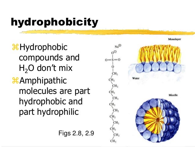 Basic biochemistry 301